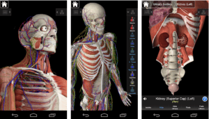 8 Best Anatomy Apps for Android & iOS (Latest 2024)