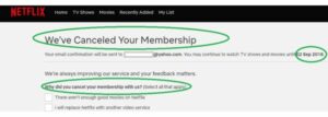 How To Cancel Netflix Auto Renewal In 4 Steps [2024]