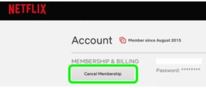 How To Cancel Netflix Auto Renewal In 4 Steps [2024]