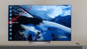 Understanding LG TV's Picture-in-Picture (PIP)